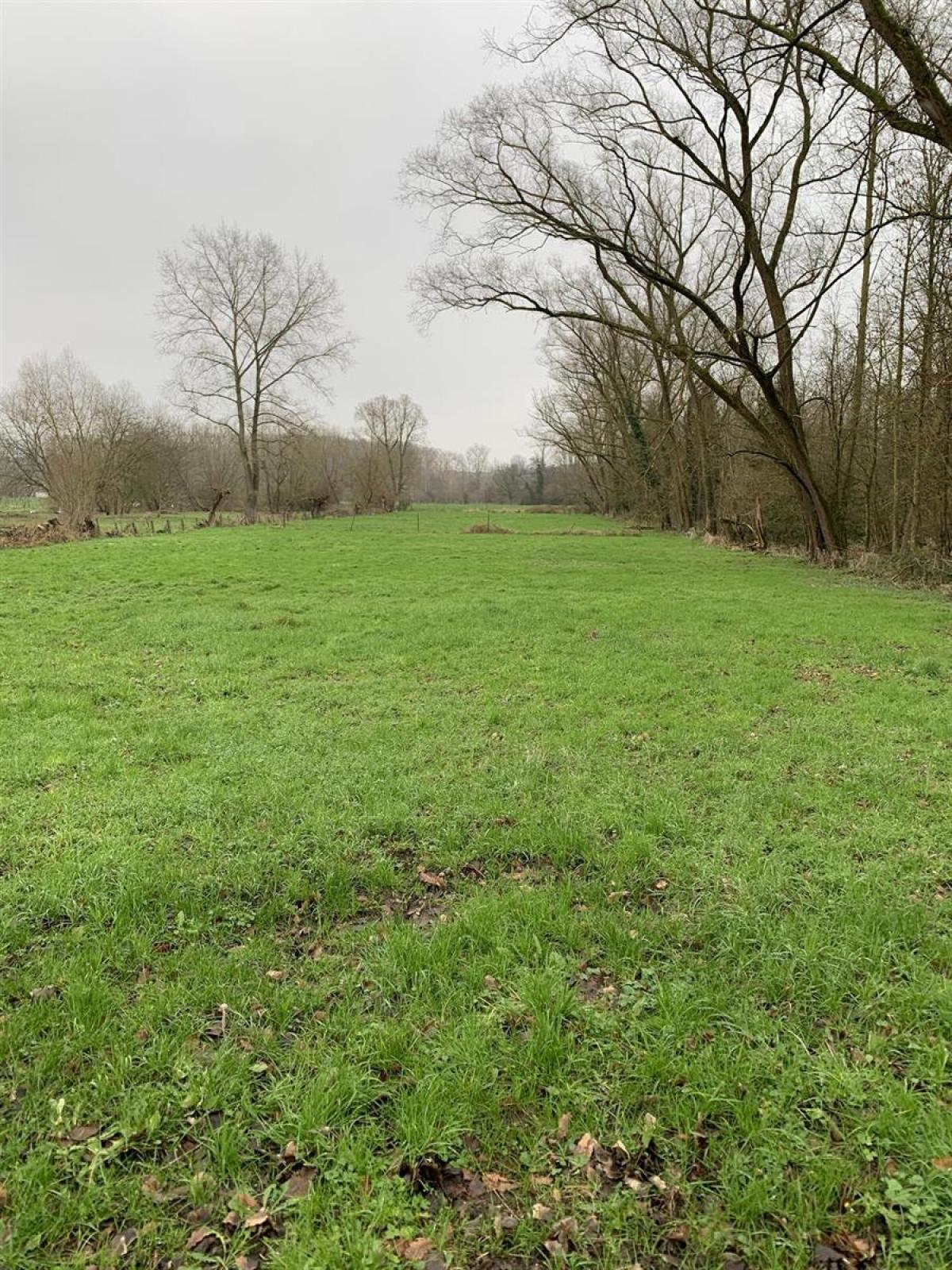 Grond Groteweg 9500 Geraardsbergen - Detail - CasaVista Vastgoedkantoor