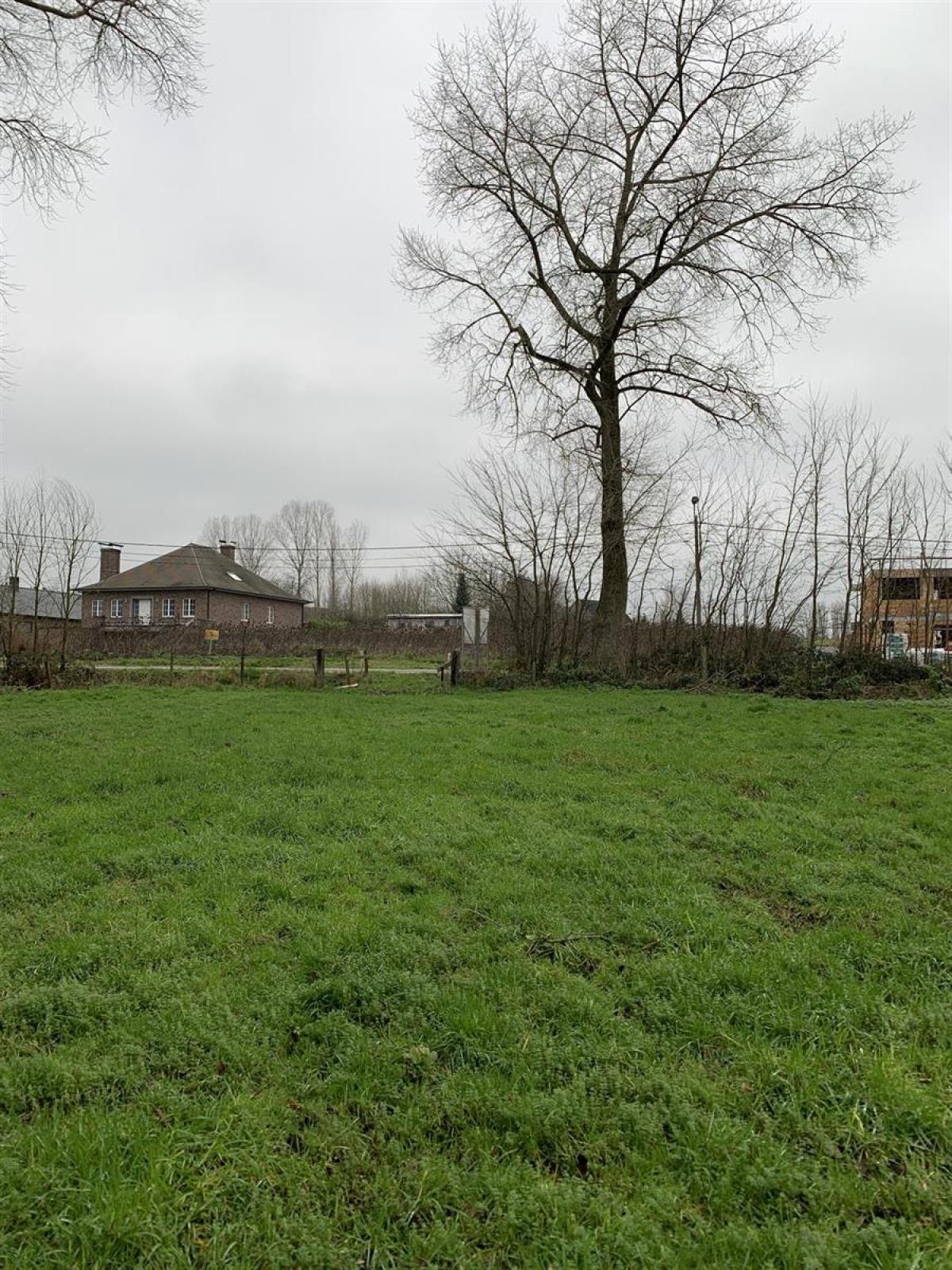 Grond Groteweg 9500 Geraardsbergen - Detail - CasaVista Vastgoedkantoor